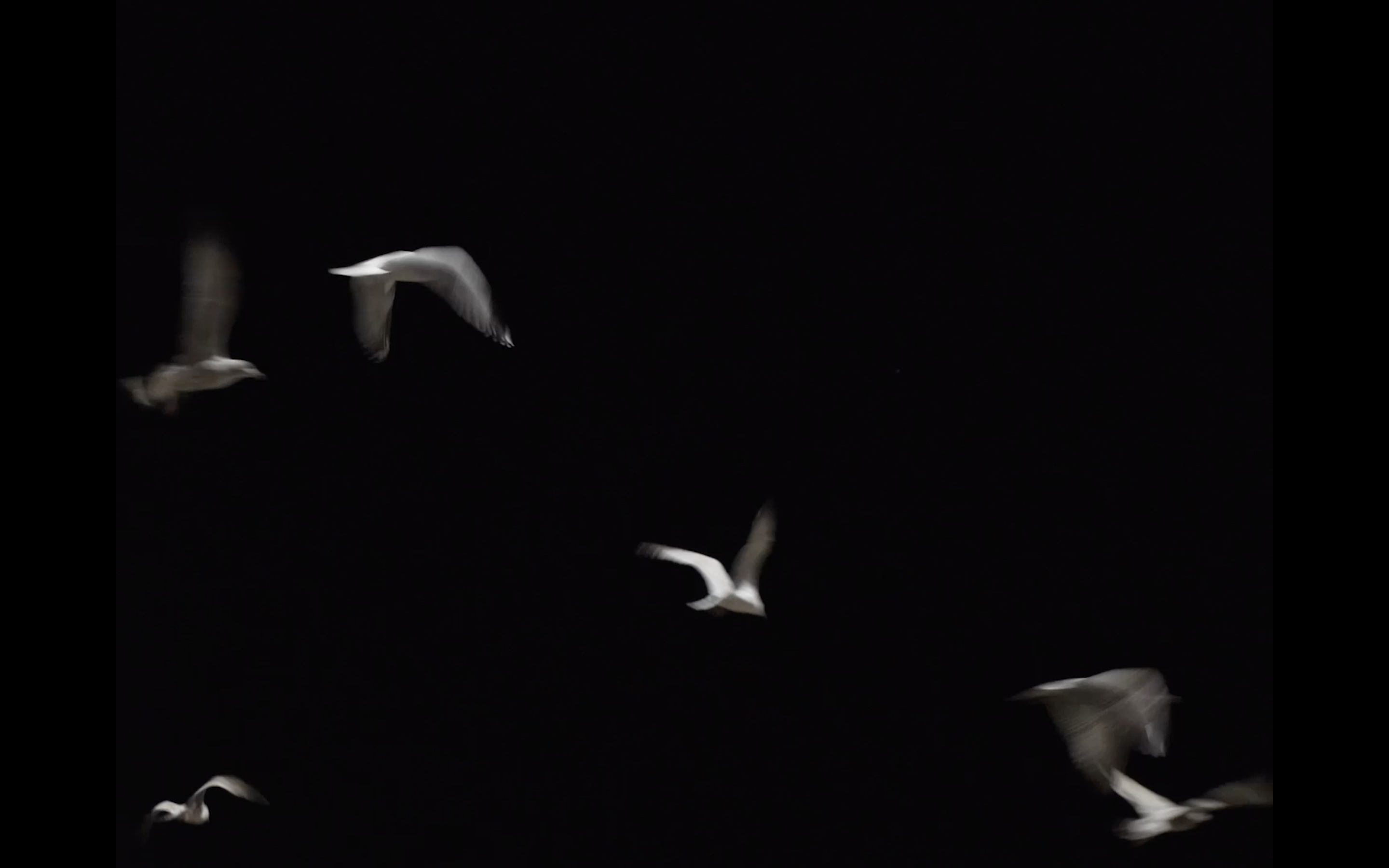 Taking over – a film By Hsin Shyu, Lilien Li, Sarah Roy and Saul ...