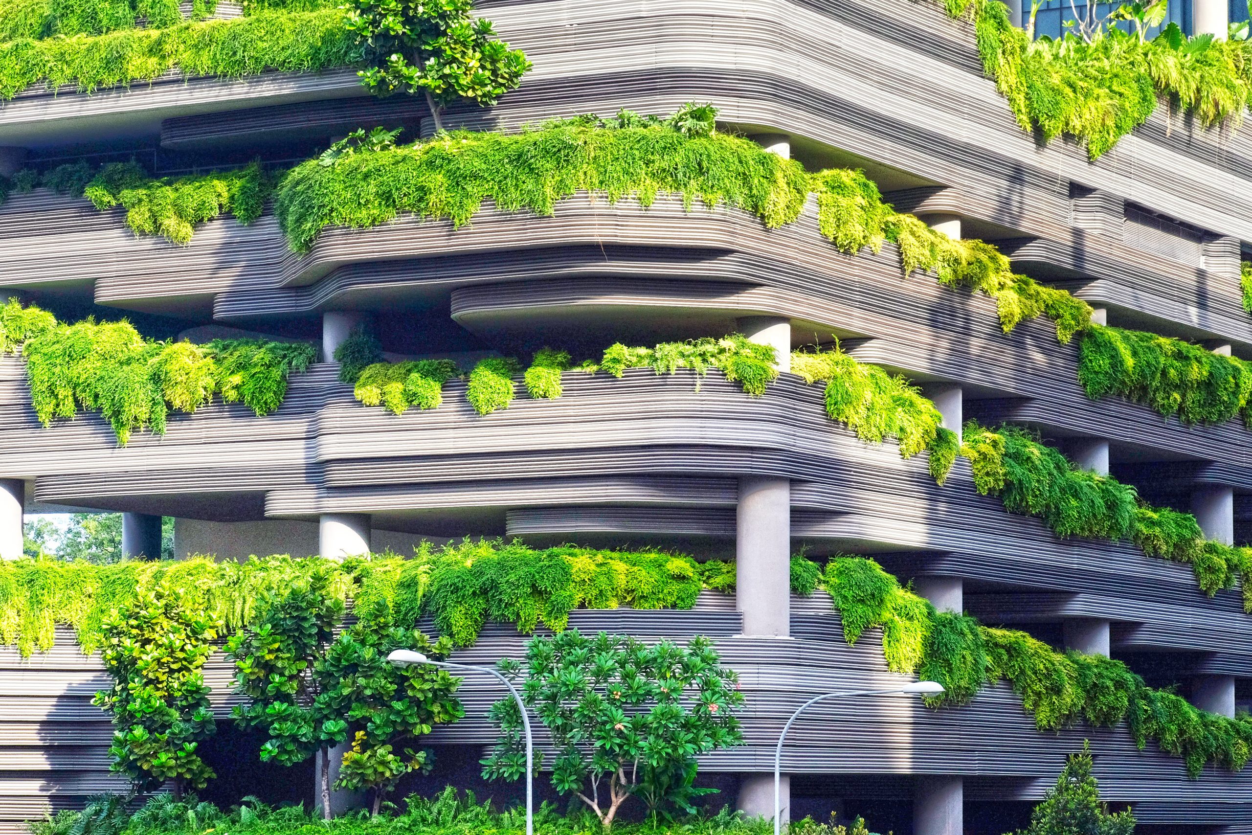 BiodiverCities by 2030: Fostering nature-positive urban development ...