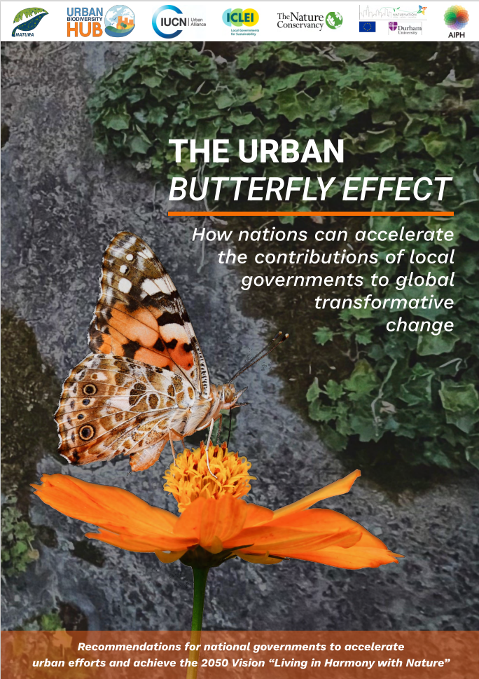Butterfly Theory A Butterfly Effect – Max Planck Florida Institute
